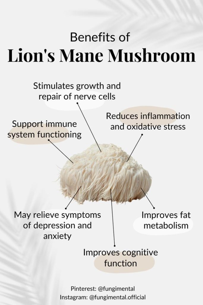 Lions Mane - Premium Supplements